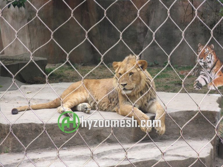 304/316 SS Lion Enclosure Mesh: Ultimate Safety for Wildlife Parks